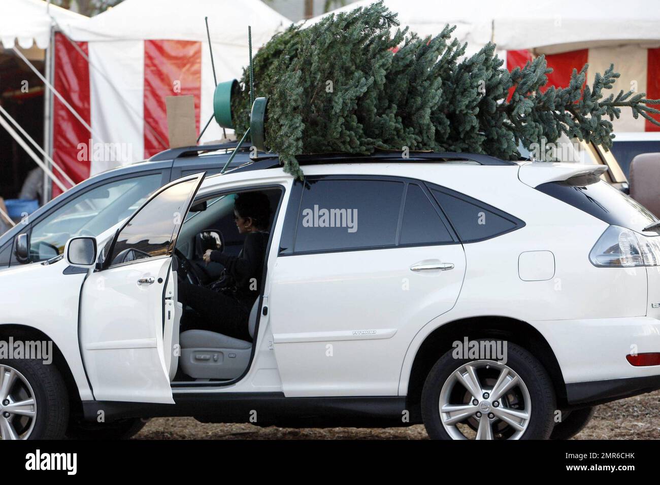Actress Halle Berry picks out the perfect Christmas tree for her home ...