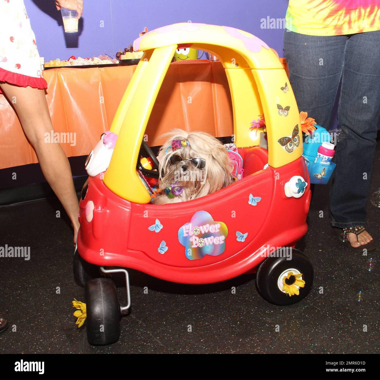 EXCLUSIVE!! Chateau Poochie holds it's annual Halloween party. These ...