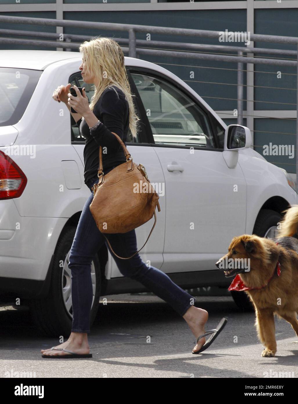 EXCLUSIVE!! Chelsea Handler arrives with her dog Chunk at the "Chelsea ...