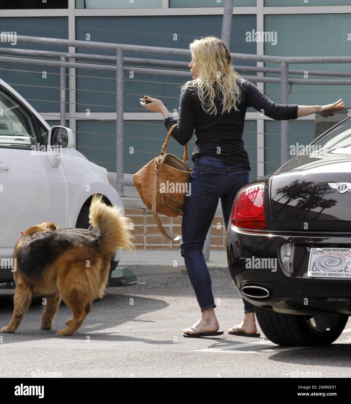 EXCLUSIVE!! Chelsea Handler arrives with her dog Chunk at the "Chelsea ...