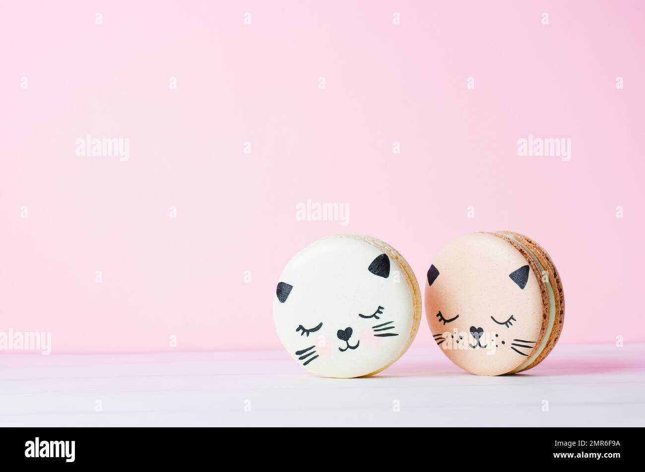 Adorable Cat Macaron Cookies, Delicious French Dessert on Bright Background Stock Photo - Alamy