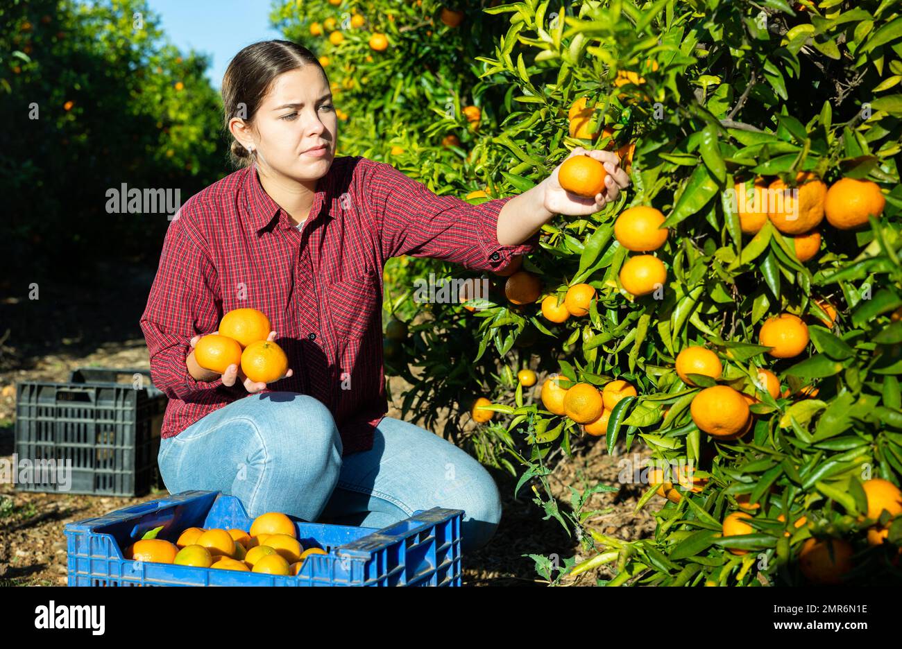 Albanians and macedonians hi-res stock photography and images - Alamy