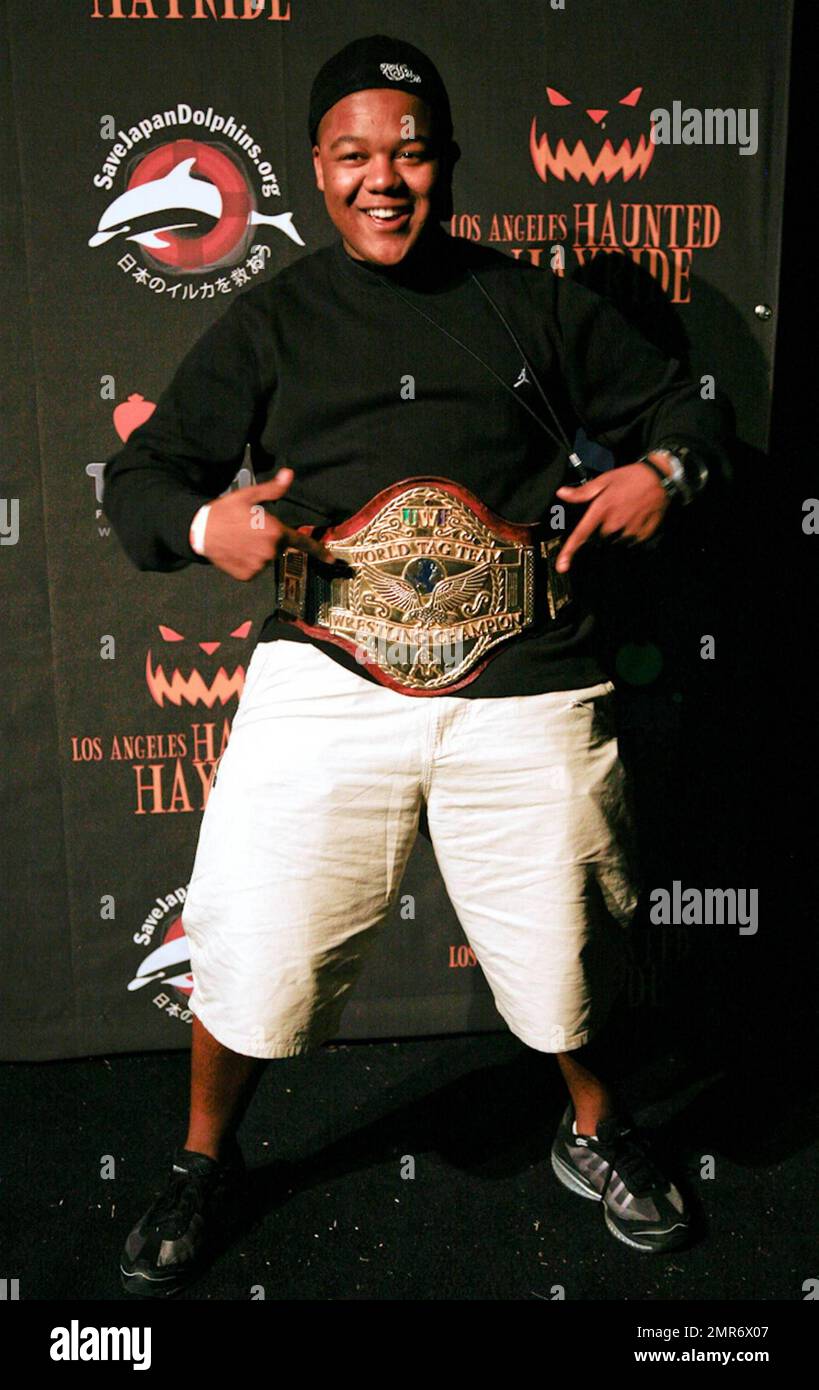 Kyle Massey at the VIP Premiere night of the 2nd Annual Los Angeles ...