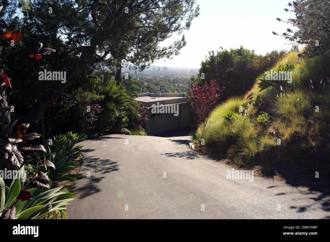 Exclusive!! "Heroes" actress Hayden Panettiere, 19, has reportedly ...