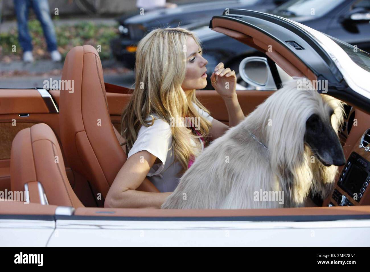 Supermodel Heidi Klum films a commercial for Garnier in Beverly Hills with an Afghan Hound. The ...