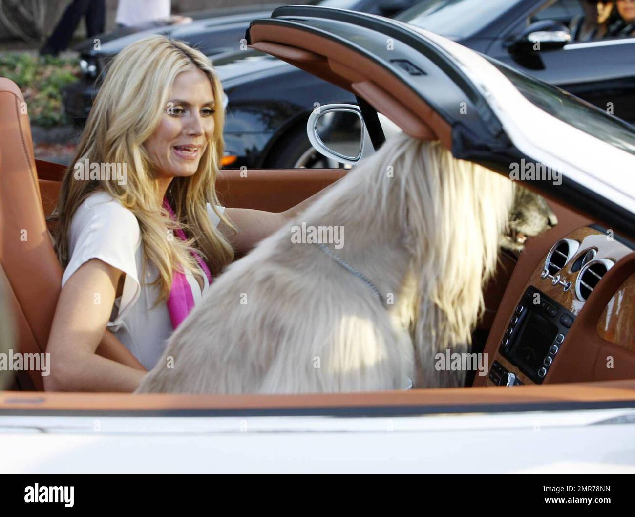 Supermodel Heidi Klum films a commercial for Garnier in Beverly Hills with an Afghan Hound. The ...