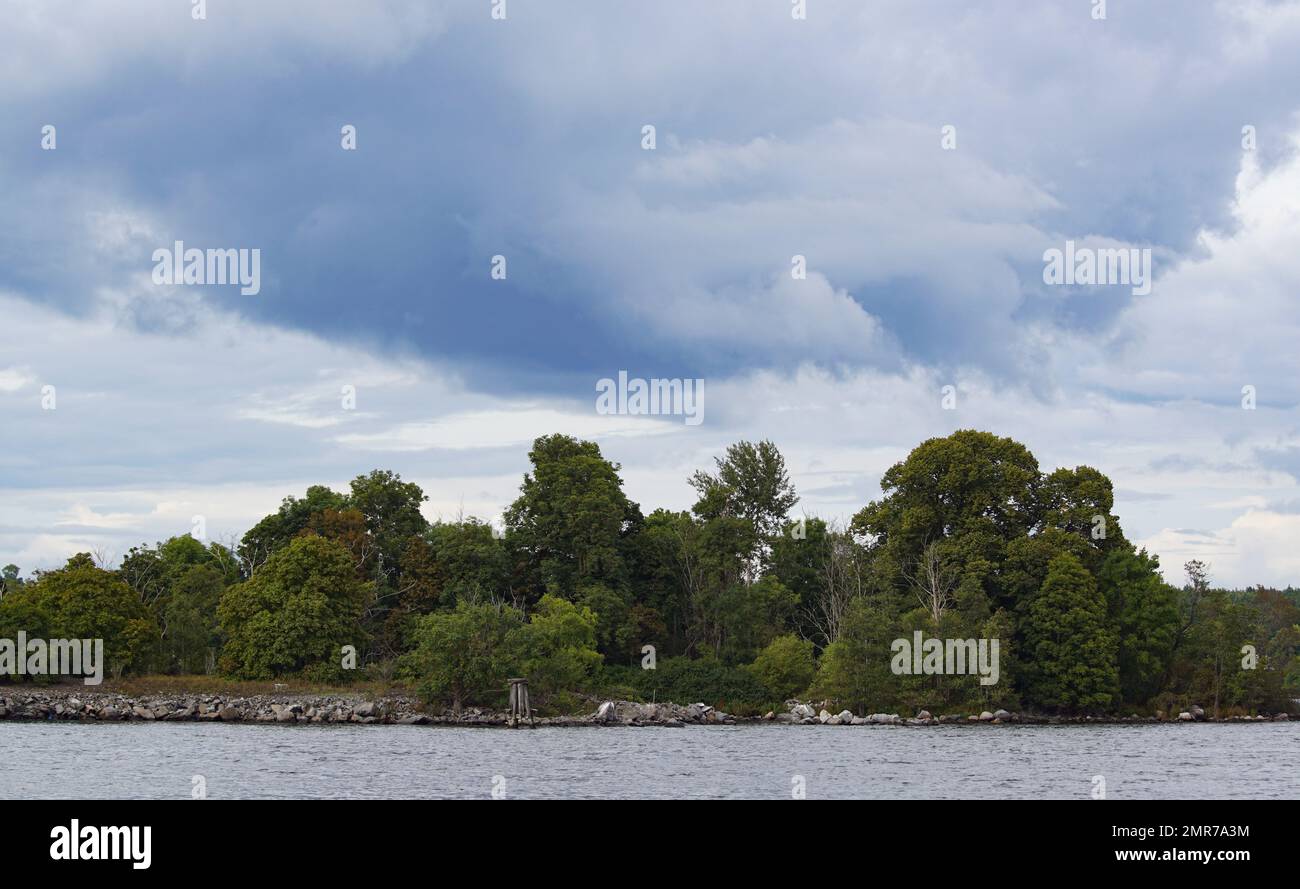 Trees growing on a island in the archipelago de Stock Photo - Alamy
