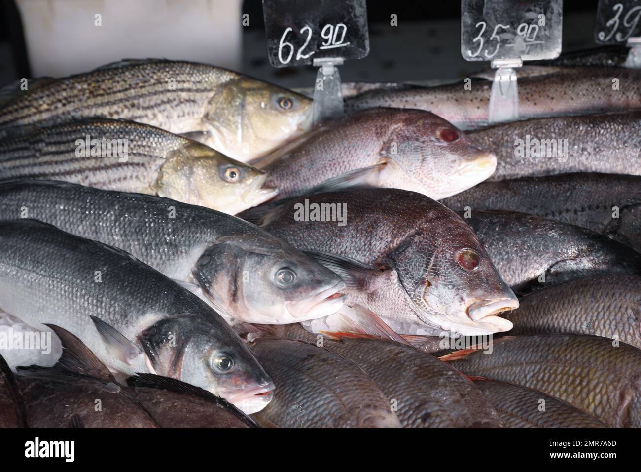 Different types of fresh fish in supermarket, closeup Stock Photo - Alamy