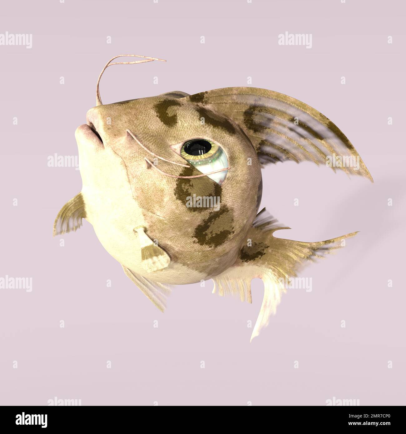 3d-illustration of an isolated colorful alien fantasy fish creature ...