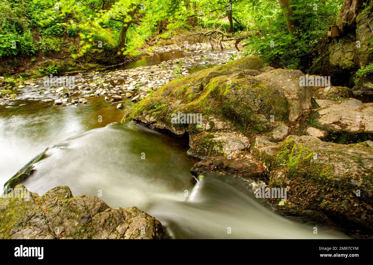 In Scotland, the spectacular fast-flowing Arbirlot Waterfall and the ...