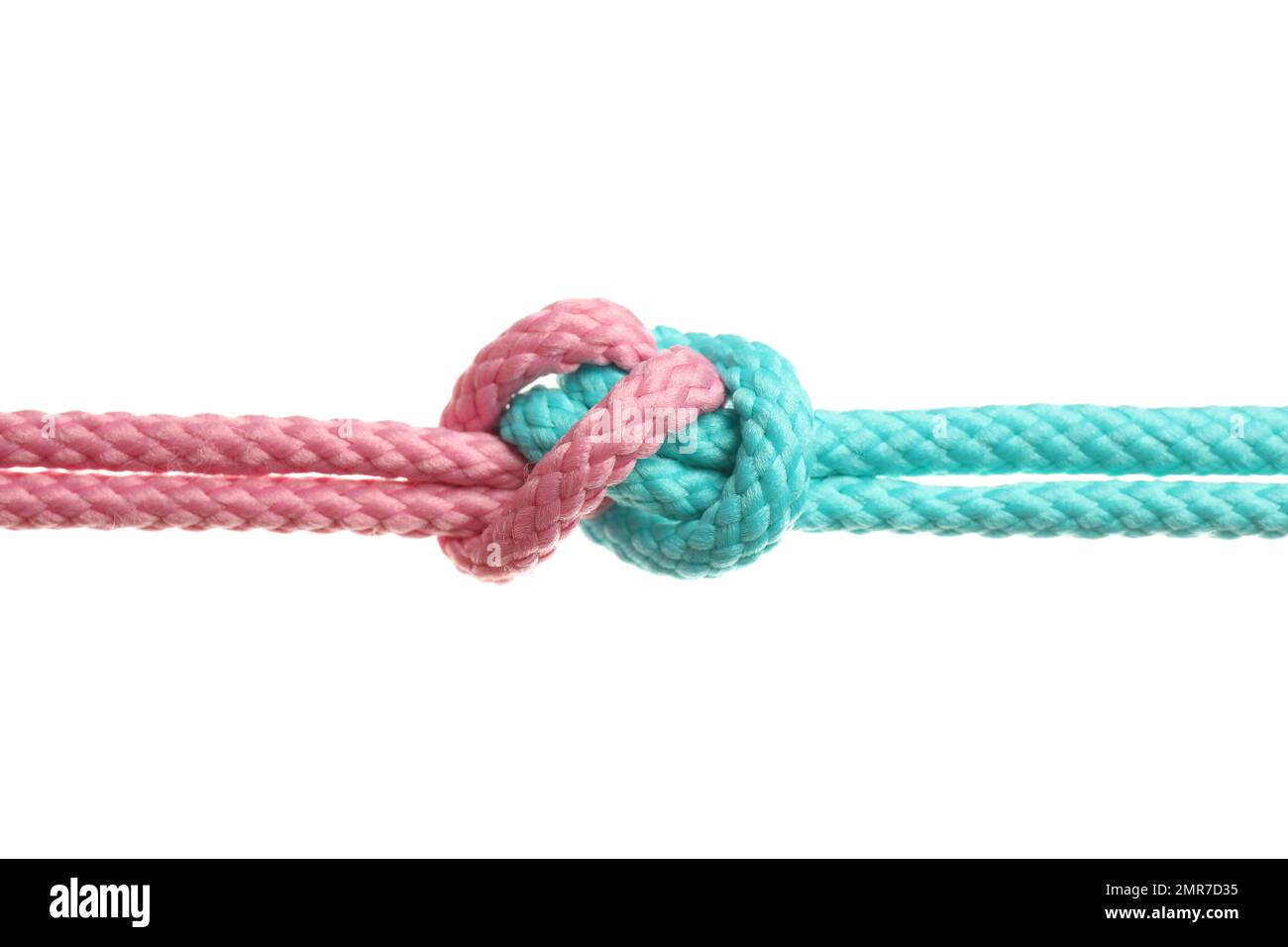 Colorful ropes tied together with knot isolated on white. Unity concept ...