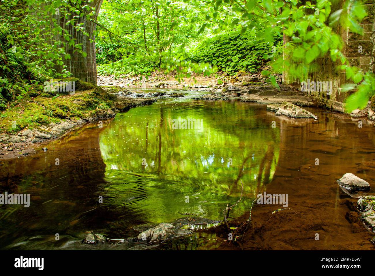 In Scotland, the spectacular fast-flowing Arbirlot Waterfall and the ...