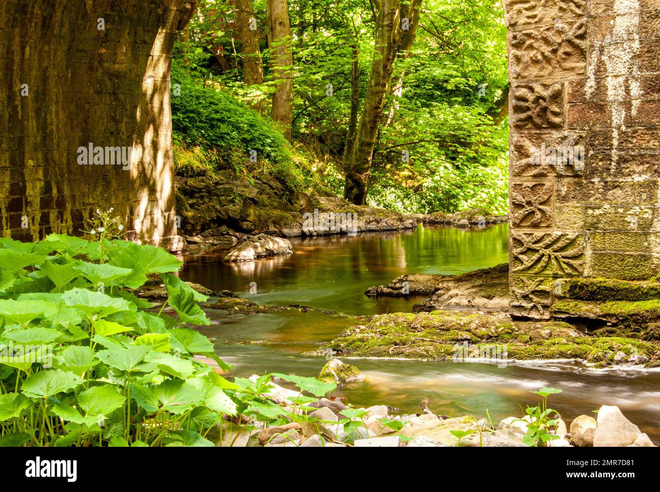 In Scotland, the spectacular fast-flowing Arbirlot Waterfall and the ...