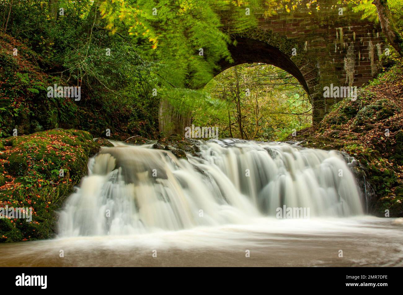 In Scotland, the spectacular fast-flowing Arbirlot Waterfall and the ...