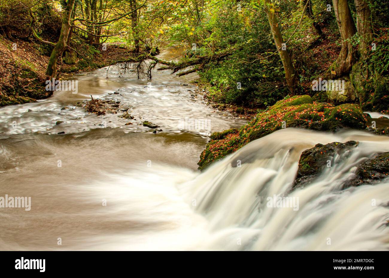 In Scotland, the spectacular fast-flowing Arbirlot Waterfall and the ...