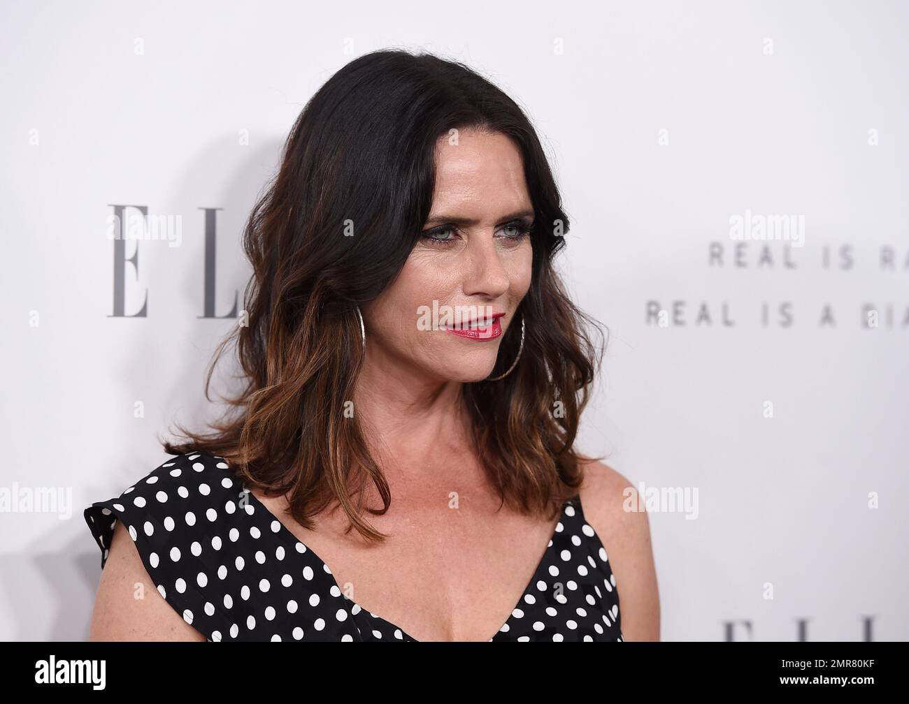 Amy Landecker arrives at the 24th annual ELLE Women in Hollywood Awards ...