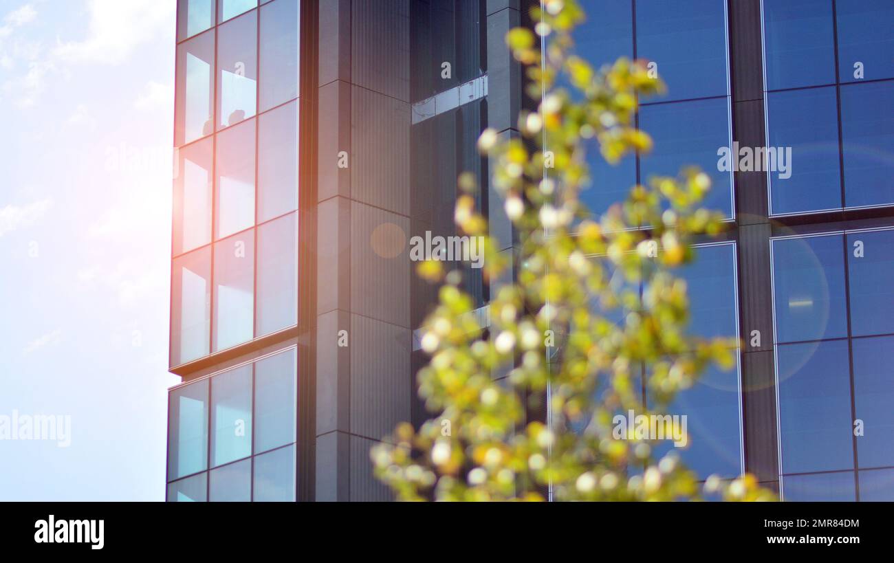 Abstract closeup of the glass-clad facade of a modern building covered ...