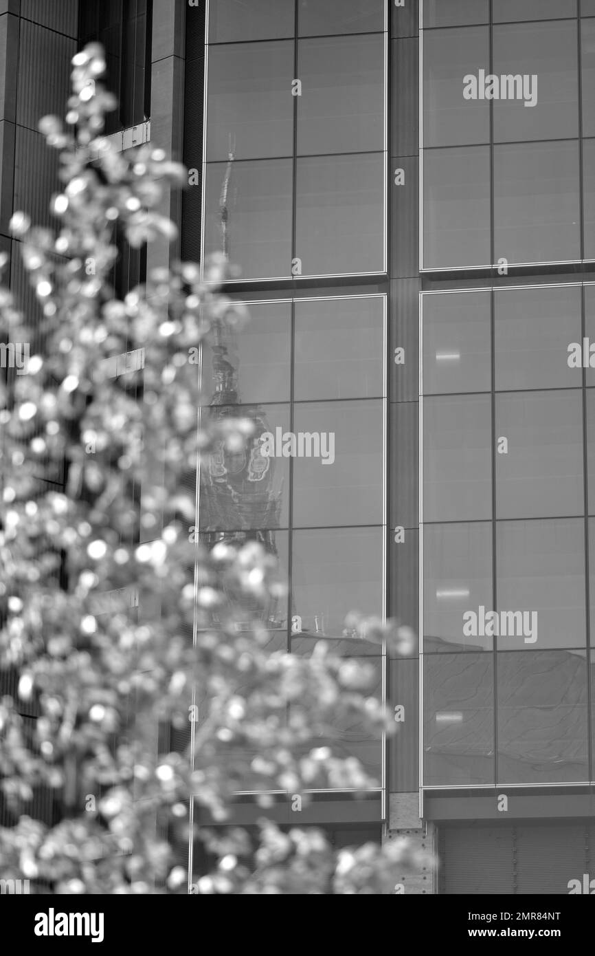 Glass curtain wall facade Black and White Stock Photos & Images - Alamy