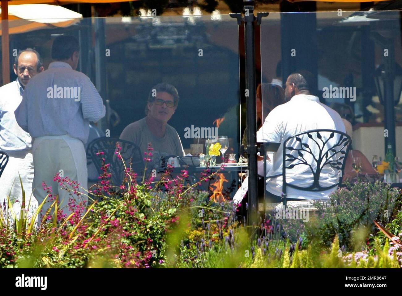 Exclusive!! David Hasselhoff has lunch with his beautiful girlfiend ...