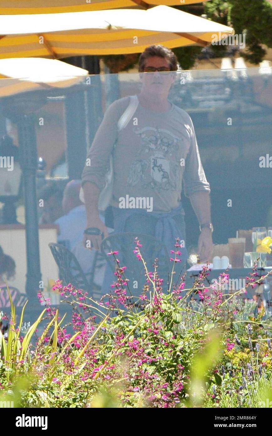 Exclusive!! David Hasselhoff has lunch with his beautiful girlfiend ...
