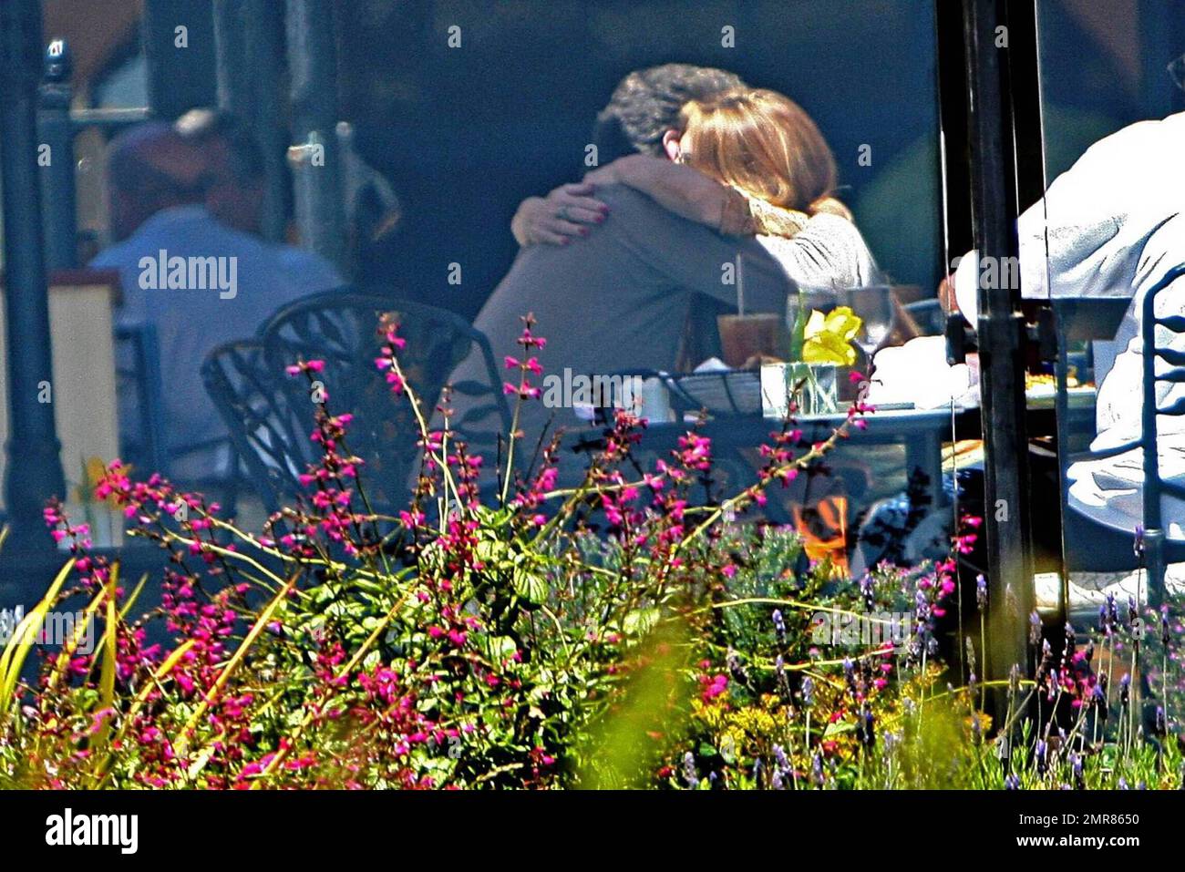 Exclusive!! David Hasselhoff has lunch with his beautiful girlfiend ...