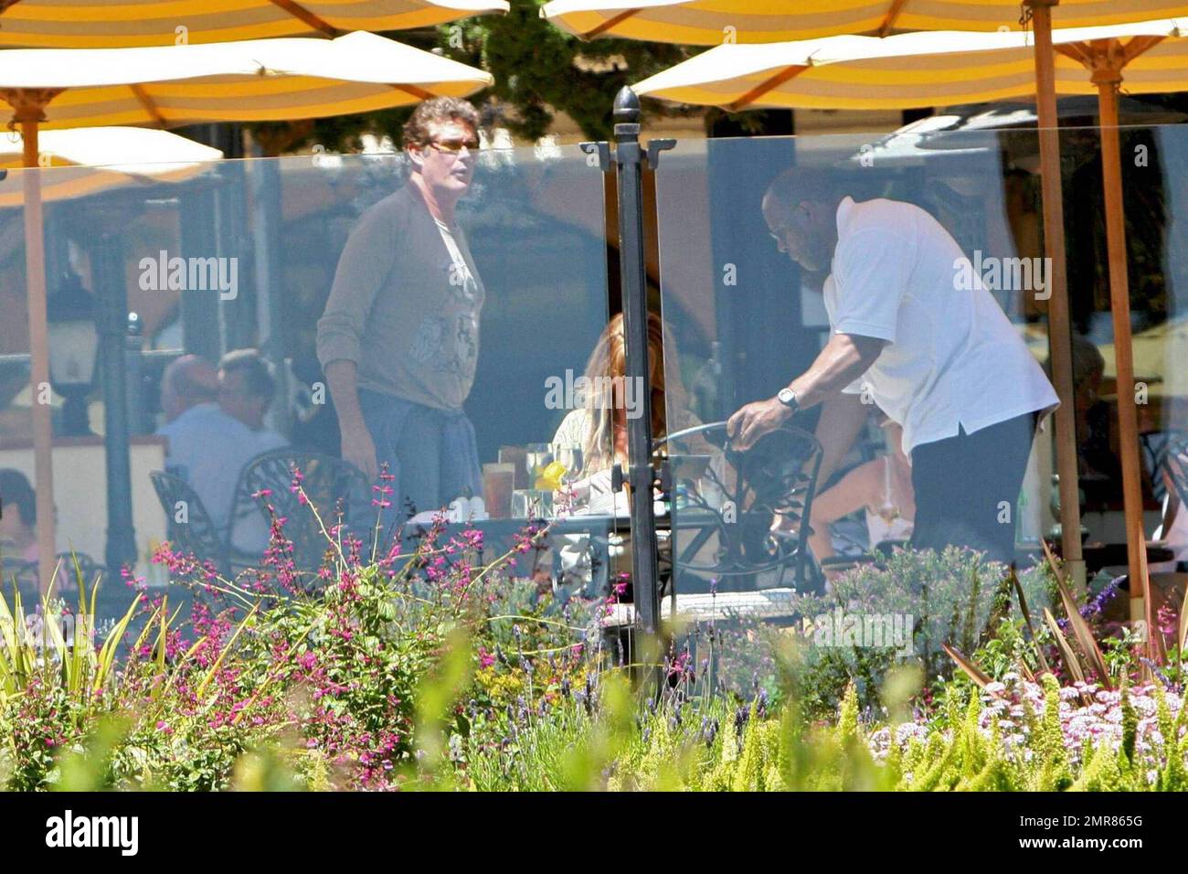Exclusive!! David Hasselhoff has lunch with his beautiful girlfiend ...