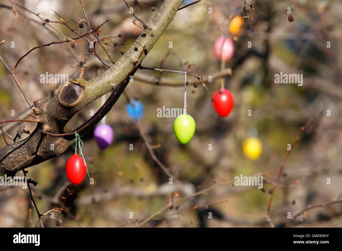 Traditional easter tree hi-res stock photography and images - Alamy