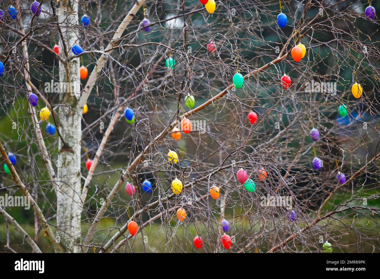 Traditional easter tree hi-res stock photography and images - Alamy