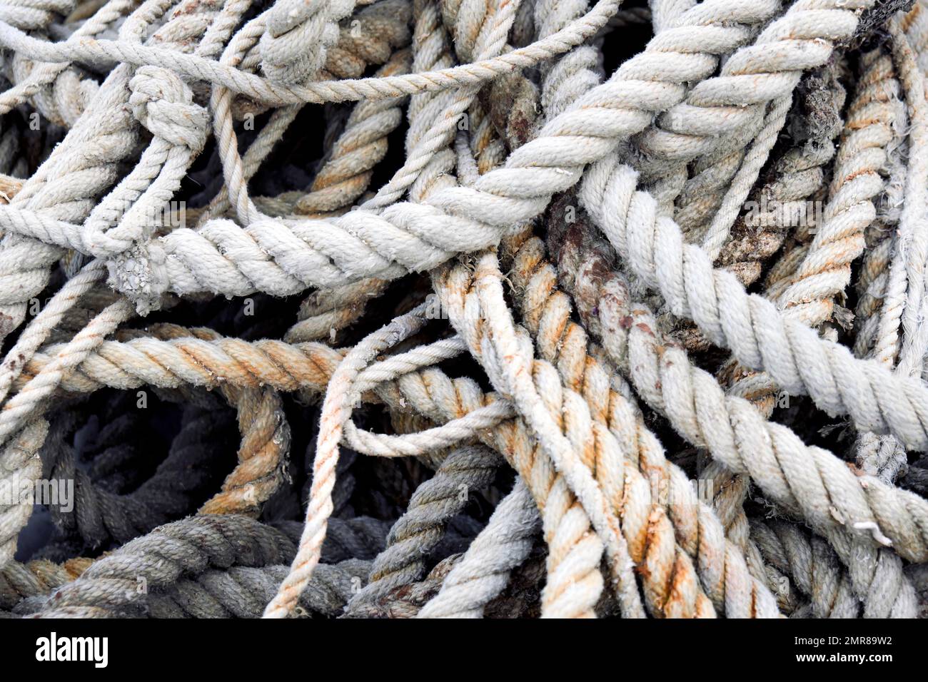 Many tangled ropes at the harbour, Italy, Europe Stock Photo - Alamy