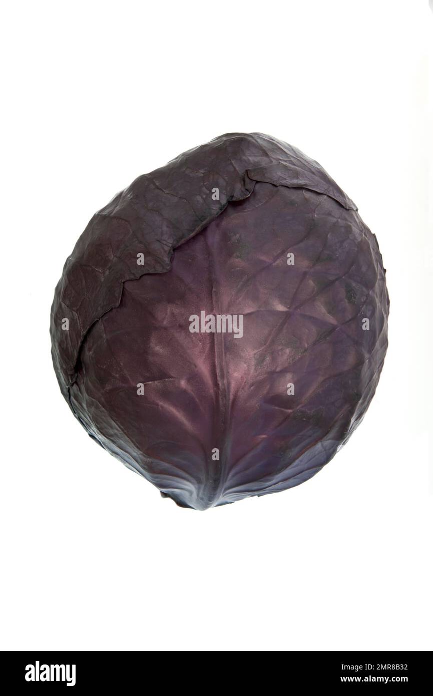 Red cabbage, red cabbage, blue cabbage, studio shot against white ...