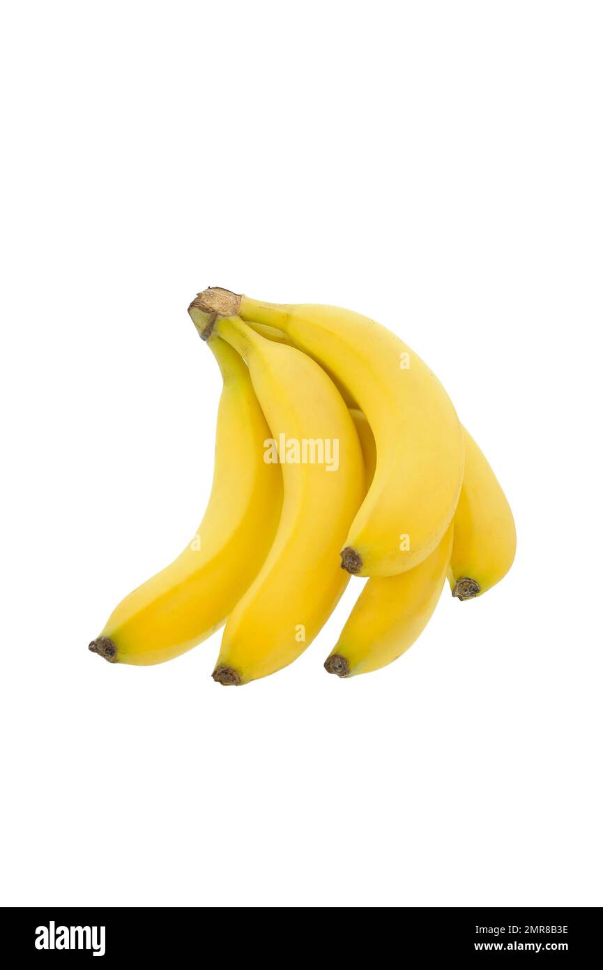 Banana (Musa), food photography, white background Stock Photo - Alamy