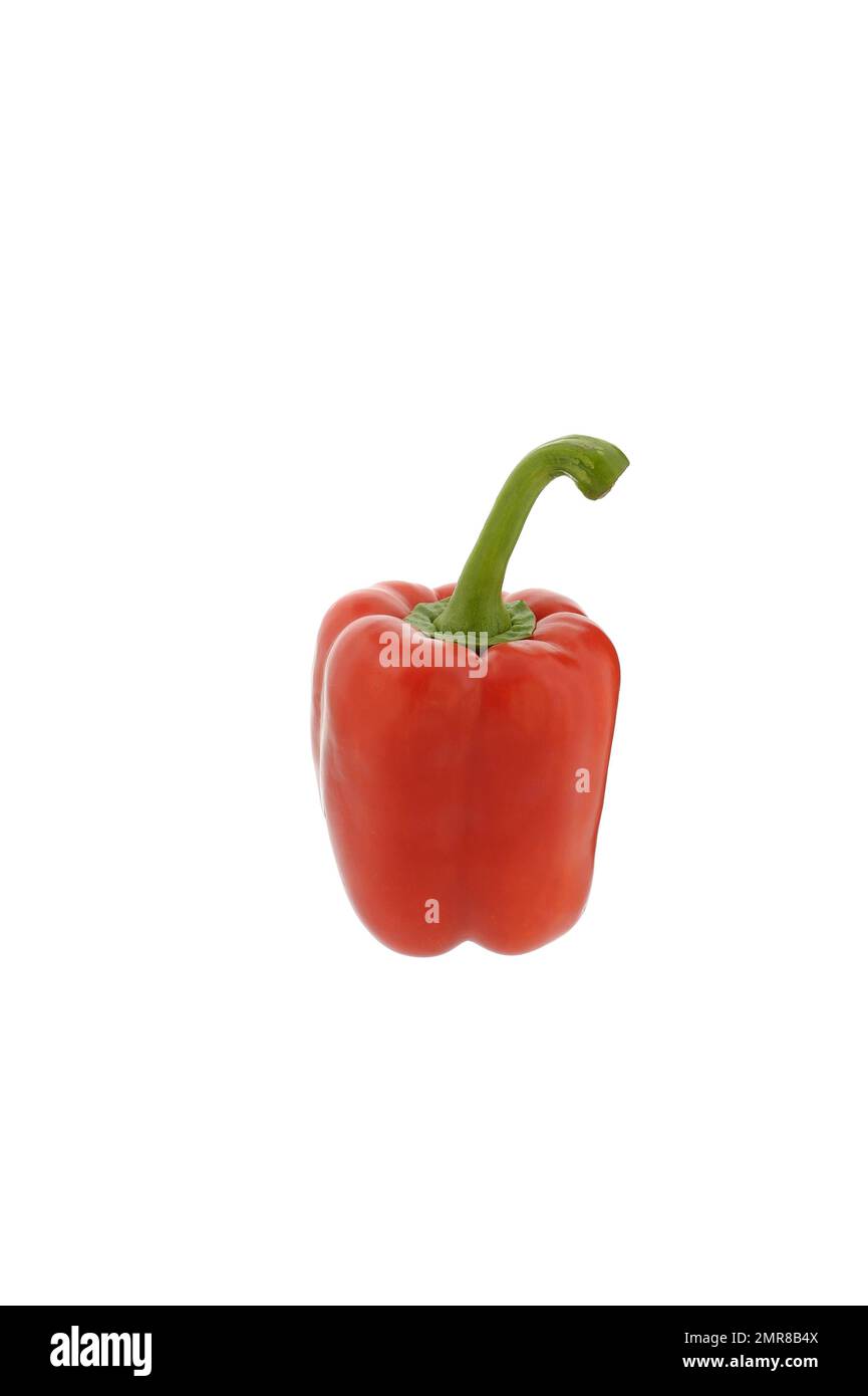 Red pepper, pepper, studio shot against white background Stock Photo ...