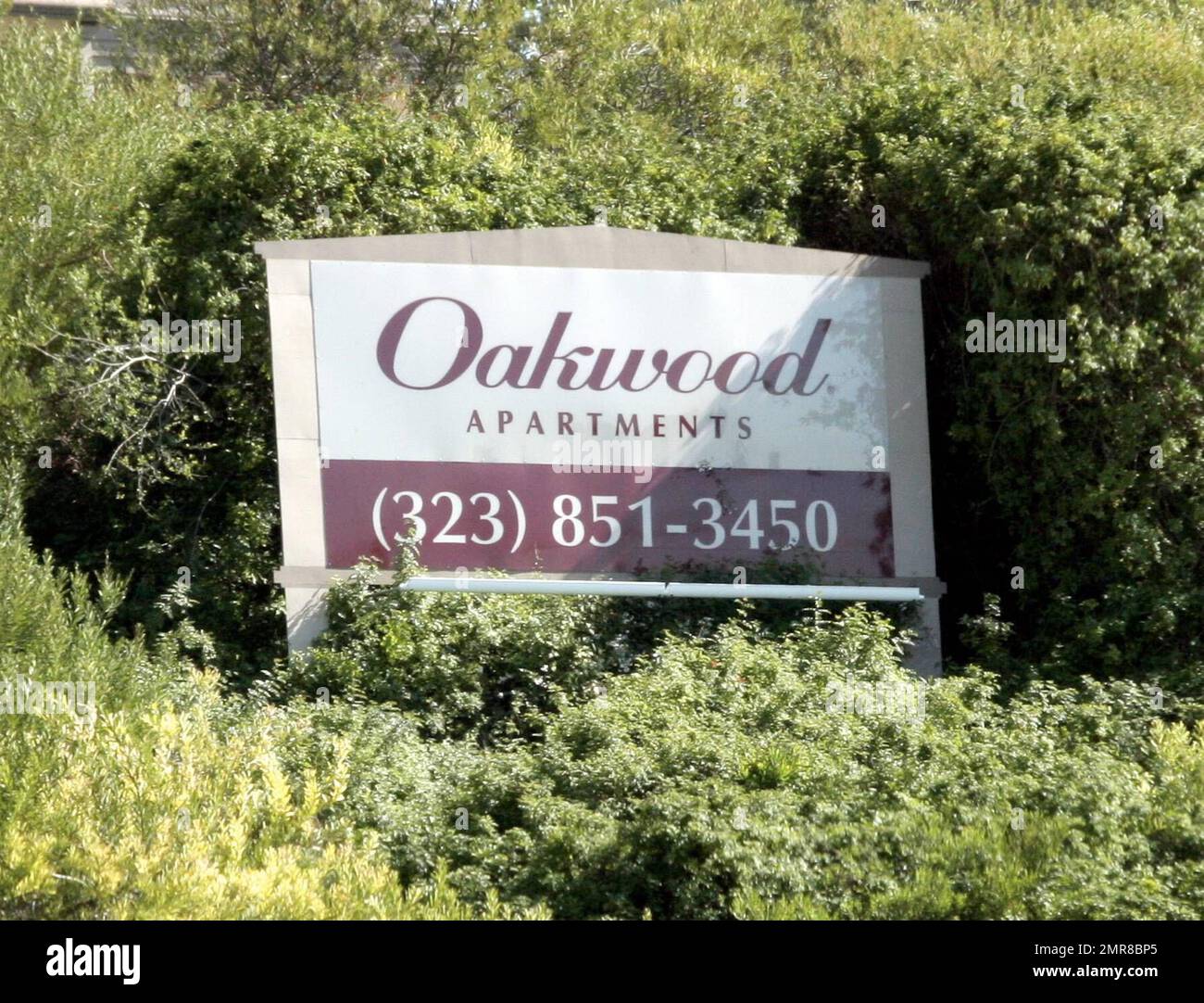 The famous Hollywood sign was in danger today as a fire raged on the ...
