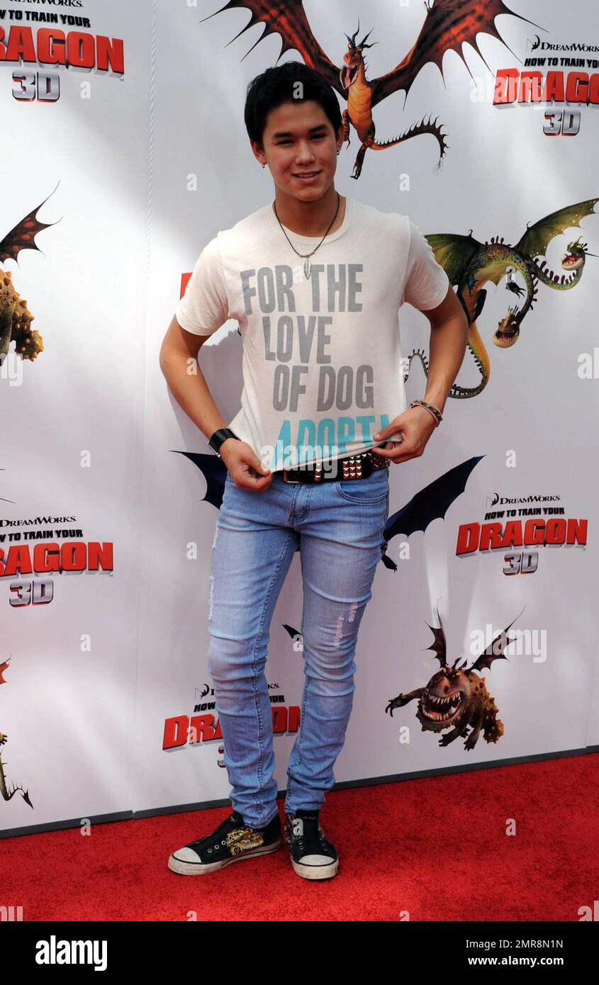 Boo Boo Stewart at the premiere of How To Train Your Dragon, at the ...
