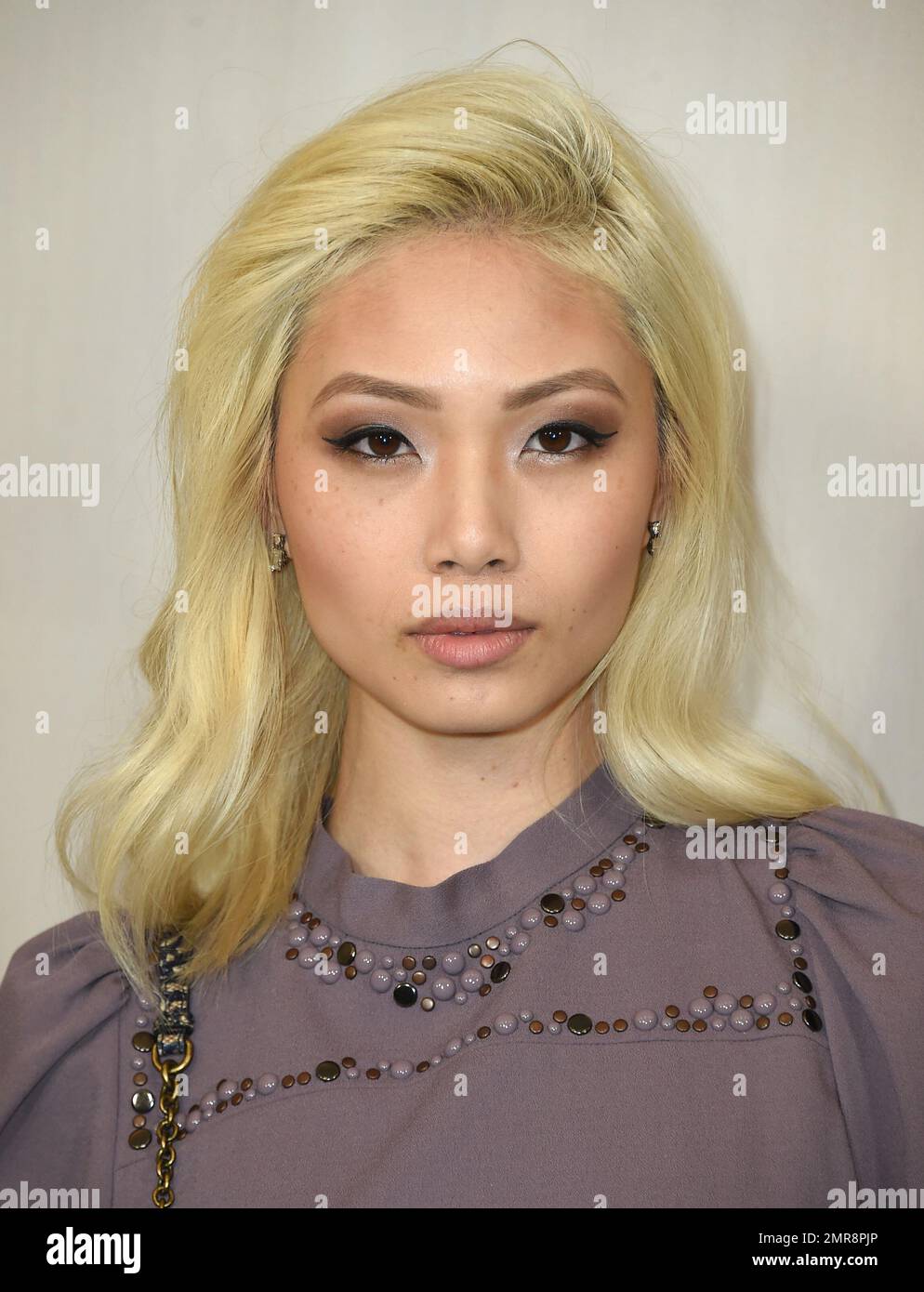 Grace Cheng arrives at the 15th annual Hammer Museum Gala in the Garden ...