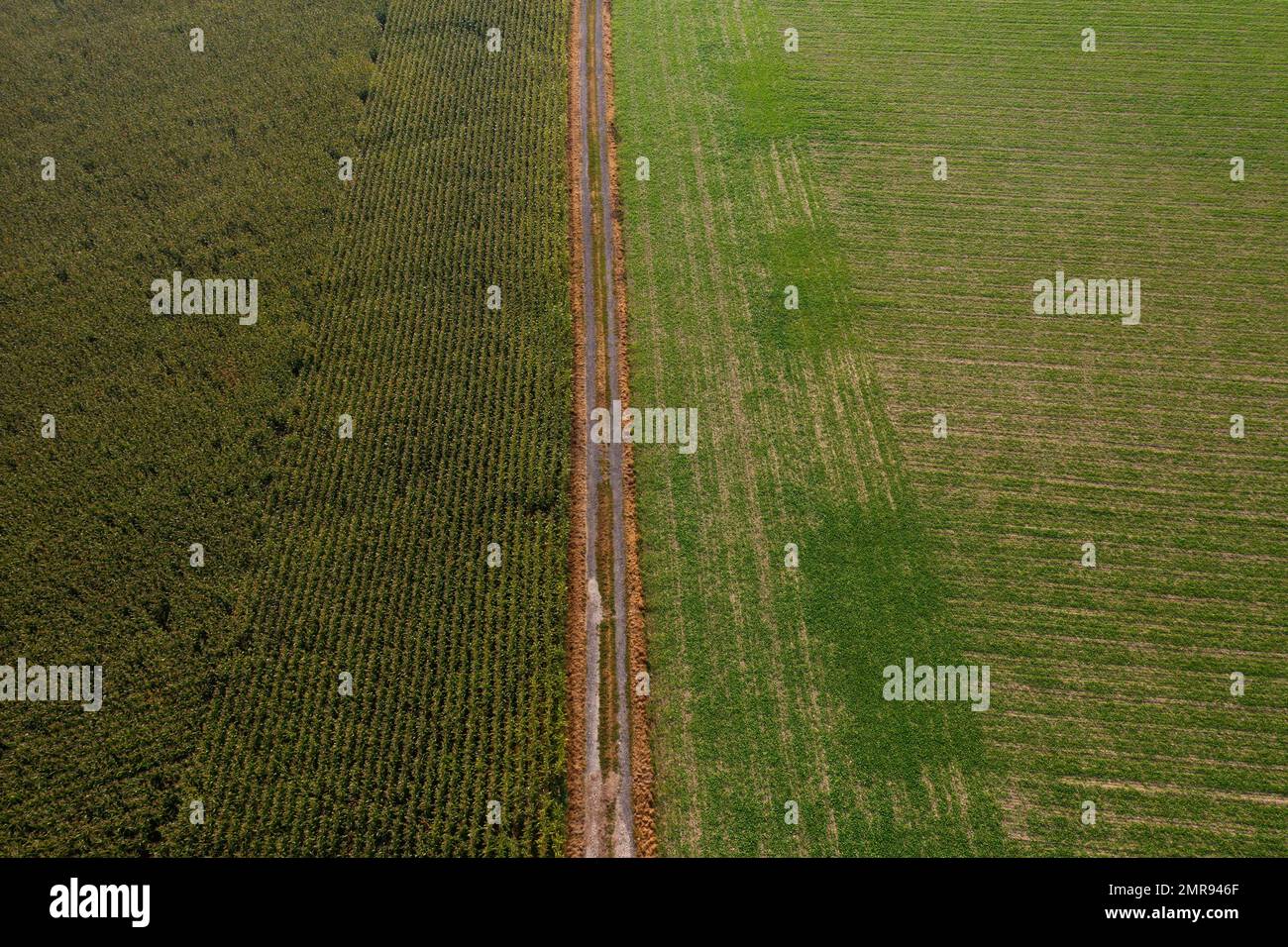 Agricultural landscape with gravel path from above, Reichersberg ...