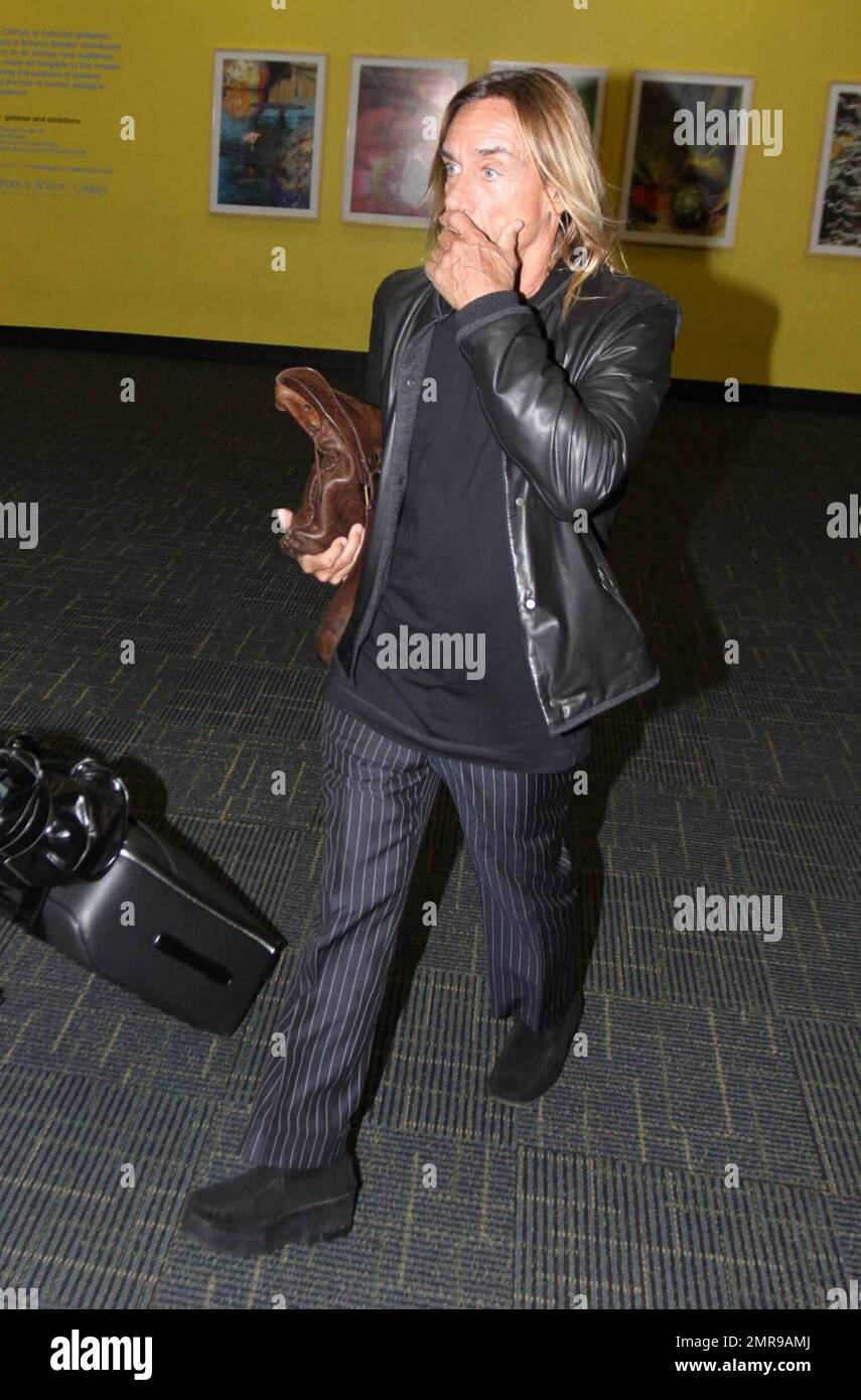 Exclusive!! Aging rock-star Iggy Pop arrives at Miami airport with his ...