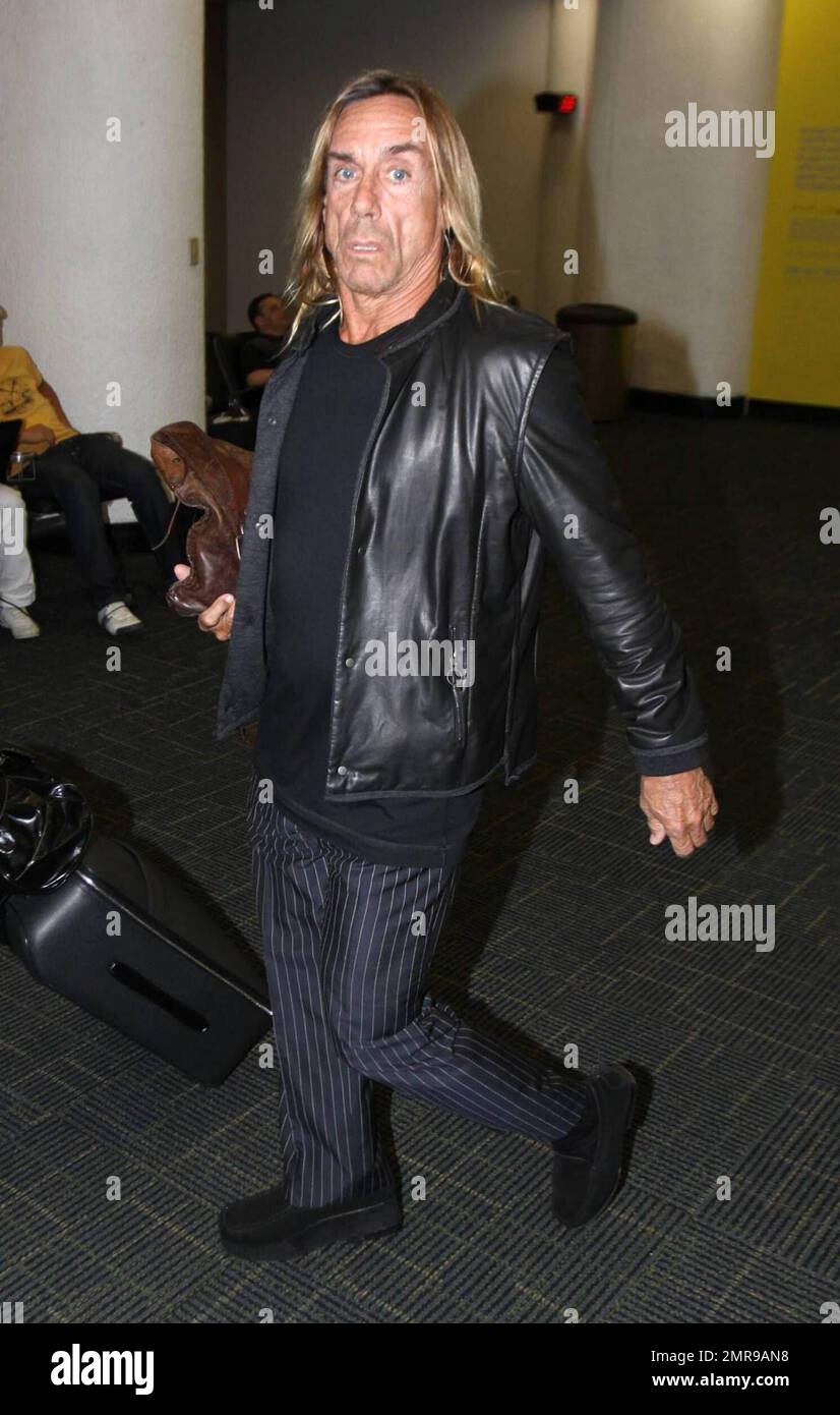 Exclusive!! Aging rock-star Iggy Pop arrives at Miami airport with his ...