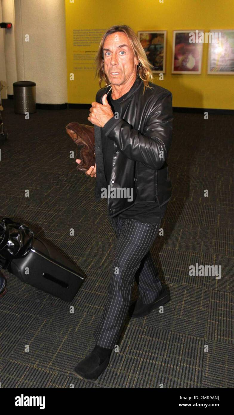Exclusive!! Aging rock-star Iggy Pop arrives at Miami airport with his ...