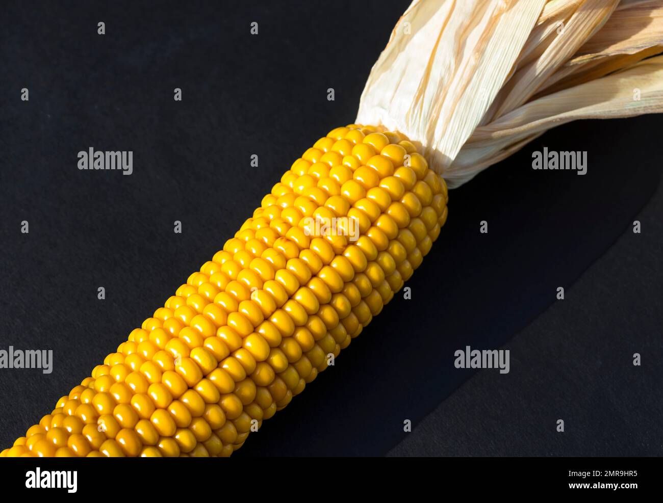 Individual corn cob hi-res stock photography and images - Alamy