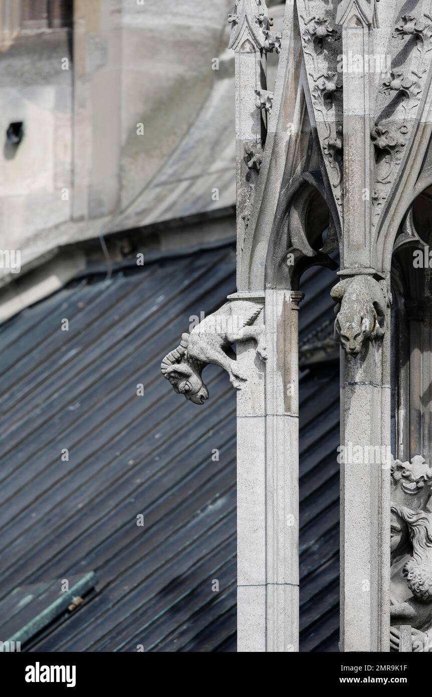 Ulm Minster, mythical creatures, stone sculptures on the west tower ...