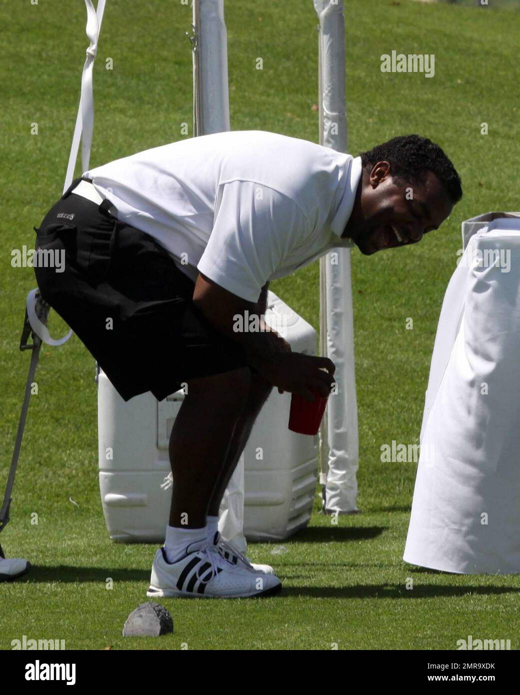 Actor Alfonso Ribeiro attends the 5th Annual Irie Weekend Celebrity ...