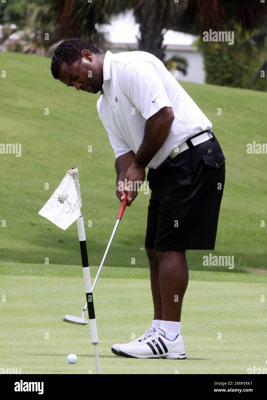 Actor Alfonso Ribeiro attends the 5th Annual Irie Weekend Celebrity ...
