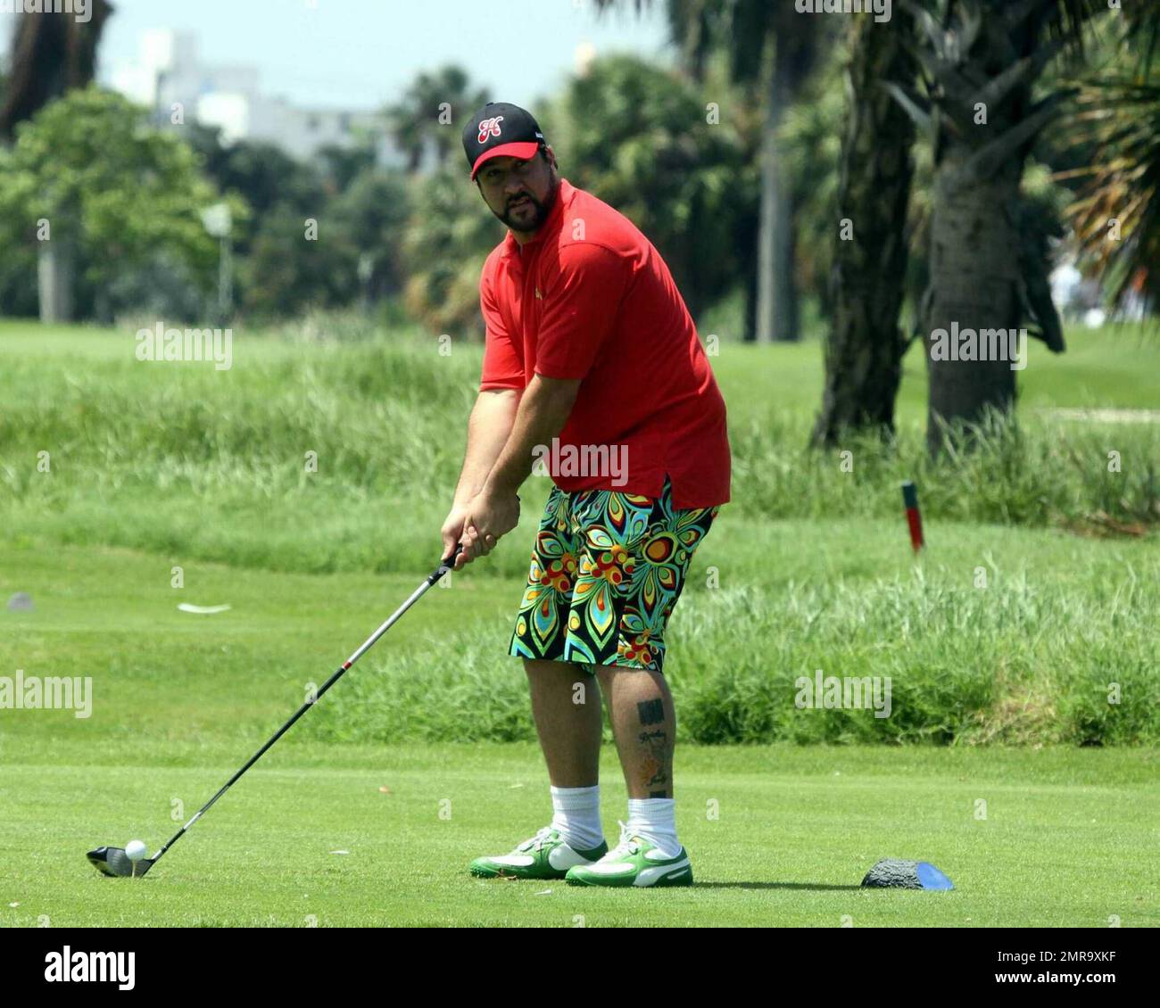 Former *NSYNC member Joey Fatone attends the 5th Annual Irie Weekend ...