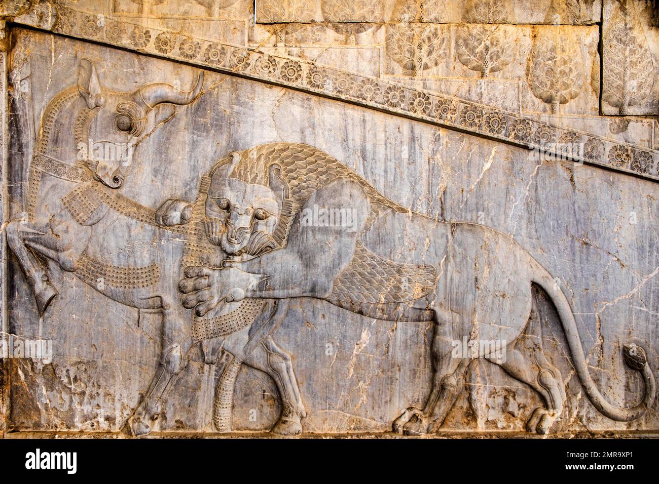 Relief Lion fighting with bull, Stairs of the Apadana Palace ...