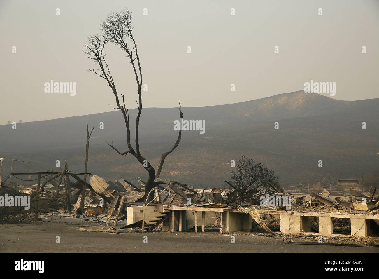 Parts of a tree still stand above the remains of the Clover Stornetta ...