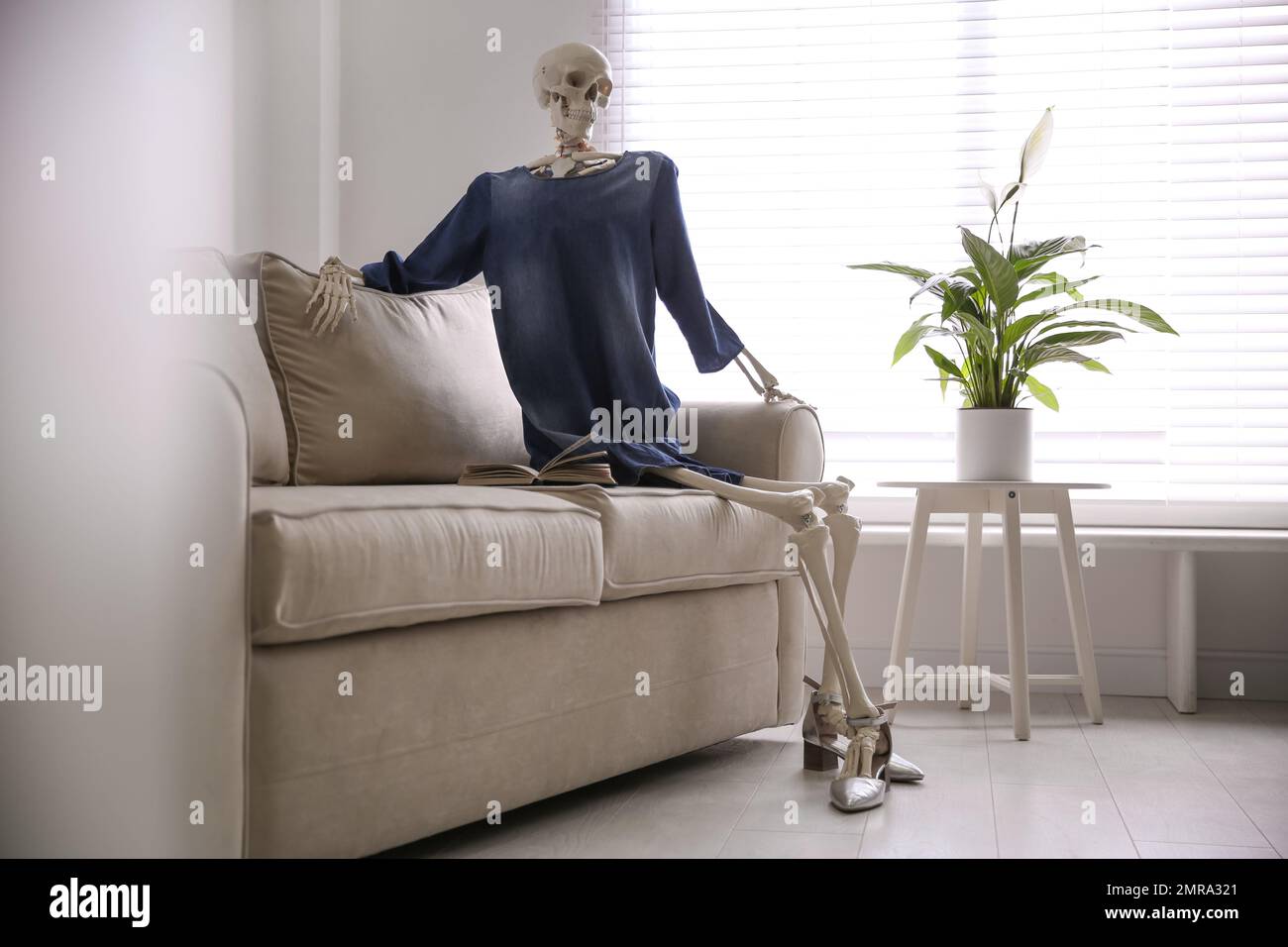 Human skeleton book on hi-res stock photography and images - Alamy