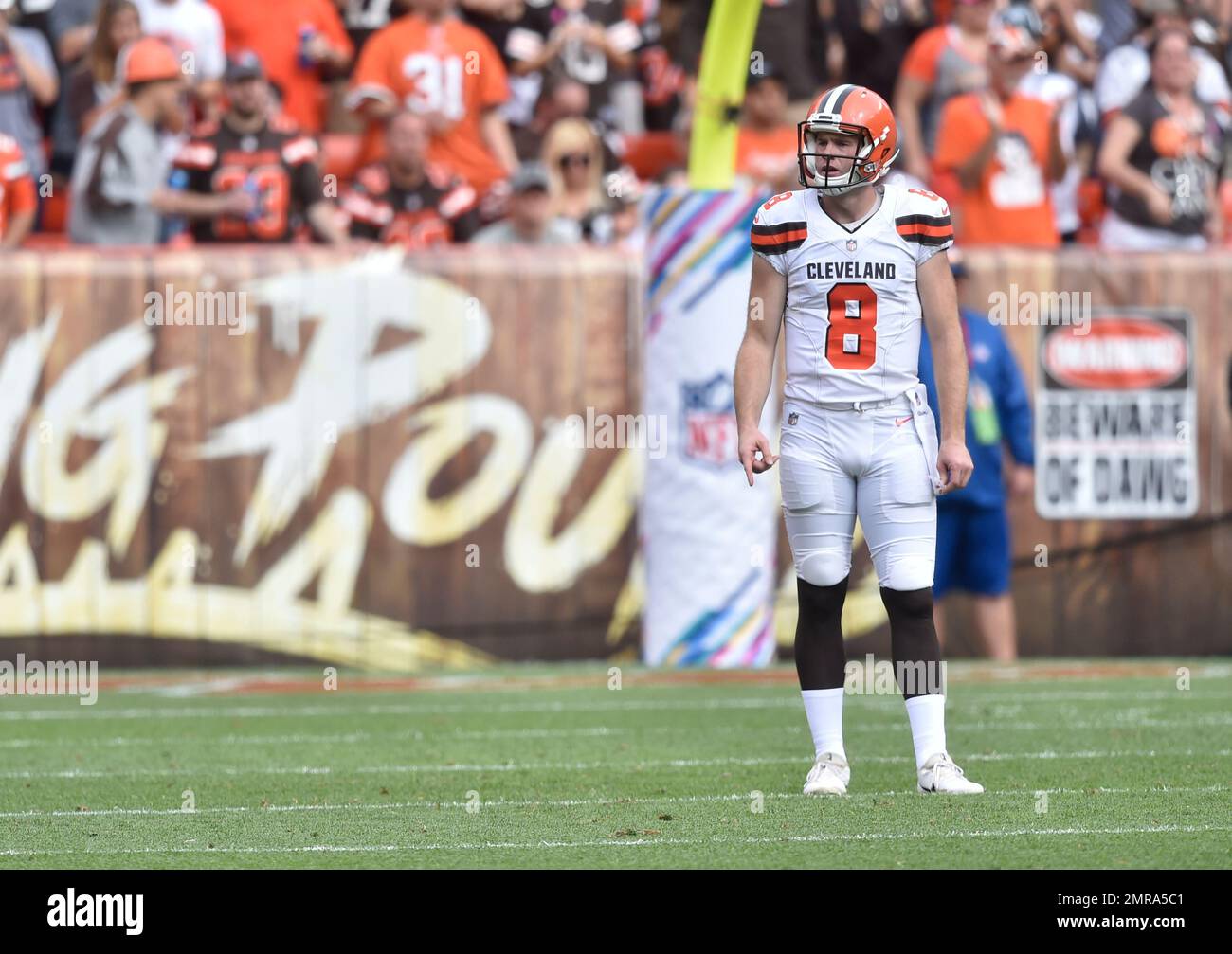 Cleveland Browns quarterback Kevin Hogan (8) stands on the field during ...