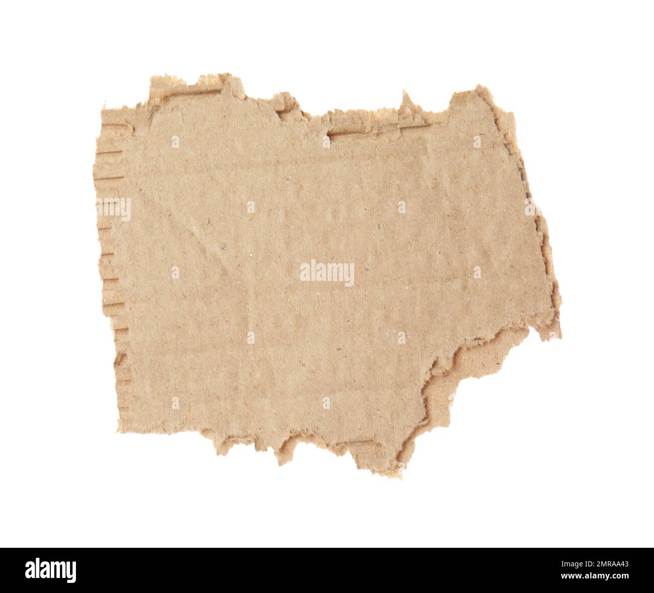 Piece of torn cardboard isolated on white Stock Photo - Alamy