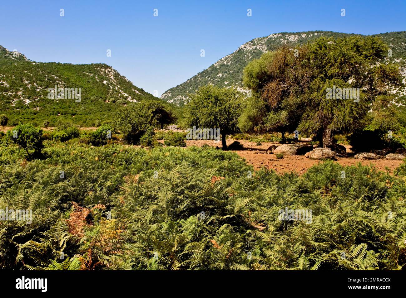 Golgo plateau hi-res stock photography and images - Alamy